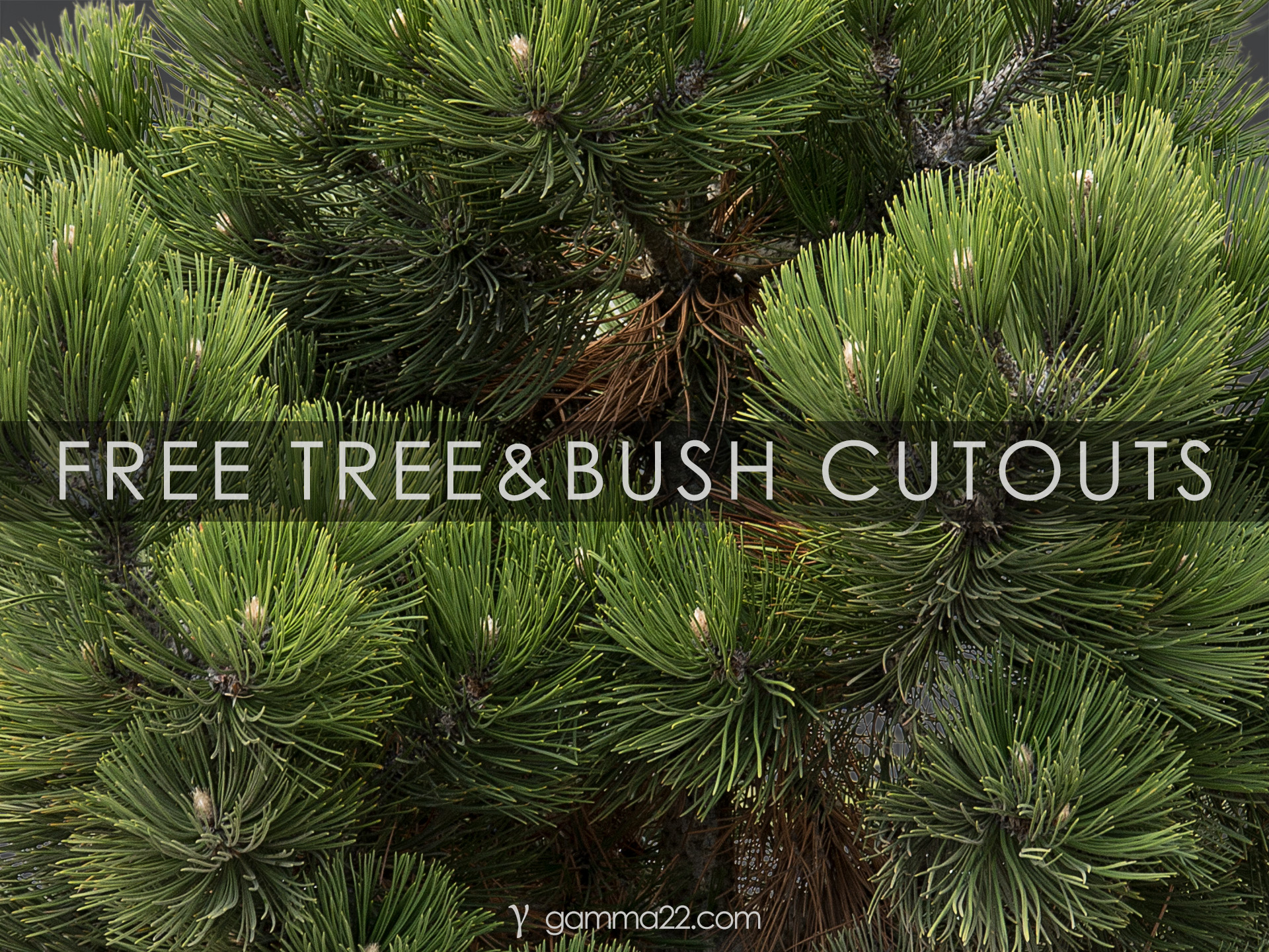 Free Tree Cutouts - Gamma 2.2