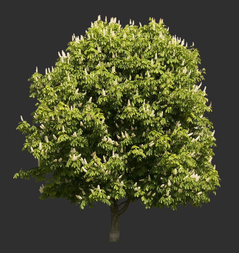 Free Tree Cutouts - Gamma 2.2